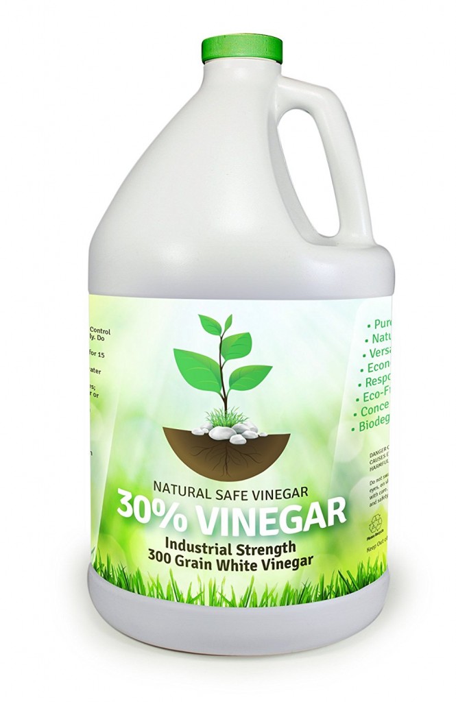 Xeni Jardin, Co-editor of Boing Boing – Cool Tools