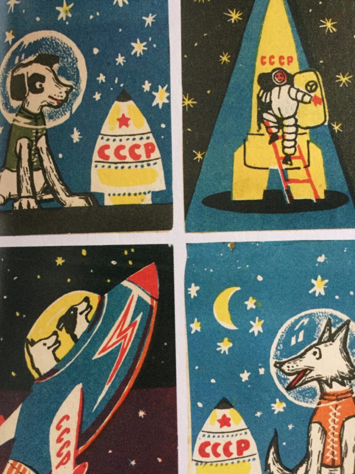 The Secret Project / Soviet Space Dogs – Cool Tools