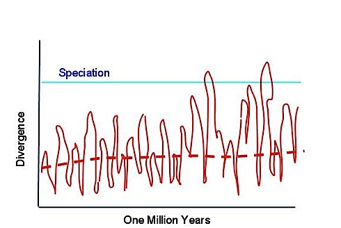 The Technium: Rapidly Oscillating Evolution