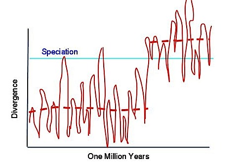 The Technium: Rapidly Oscillating Evolution