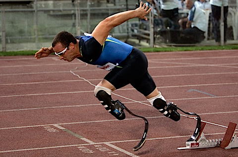 The Technium: We, the Domesticated Cyborg